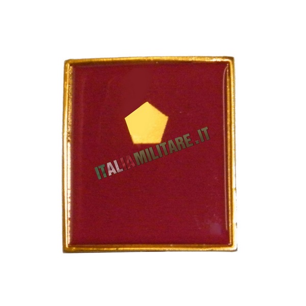 Gradi Vigili del Fuoco e Forestale